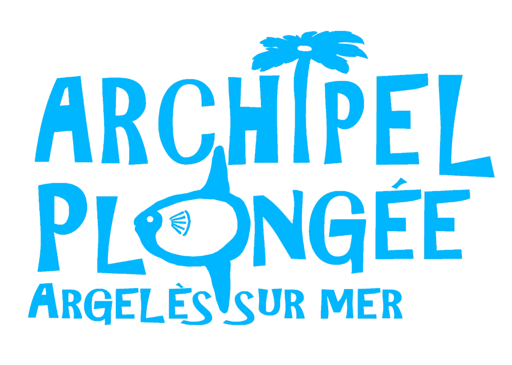 Archipel logo haute def bleu clair lilian - Longitude 181