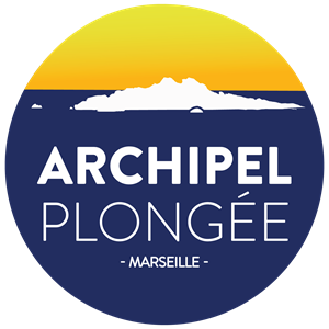 logo archipel - Longitude 181